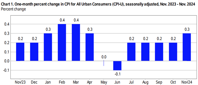 U.S. CPI increased by 0.3% in November 2024 – Mayberry Investments Limited