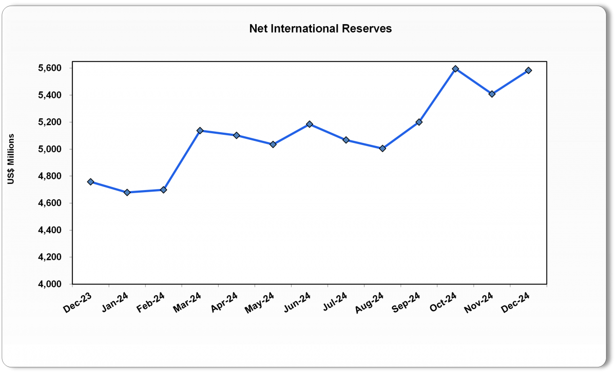Net International Reserves – December 2024 – Mayberry Investments Limited