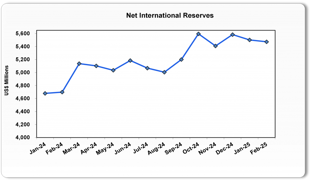 Net International Reserves – February 2025 – Mayberry Investments Limited
